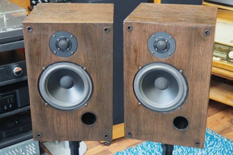 Genelec Biway 1050A – Classic Audio